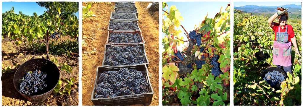 1000+ images about El Bierzo es mágico on Pinterest